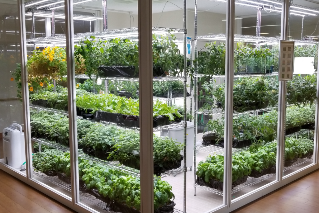 セラ・ファームとは？ 水耕栽培 オーガニック セラミック セラファーム 就労 野菜 栽培 福利厚生 楽しい 障害者 福利厚生 全館空調 マッハ ...