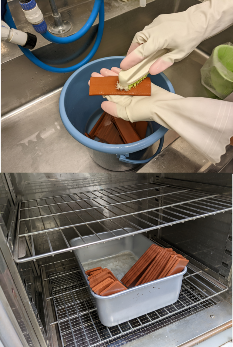 セラ・ファームとは？ 水耕栽培 オーガニック セラミック セラファーム 就労 野菜 栽培 福利厚生 楽しい 障害者 福利厚生 全館空調 マッハ ...